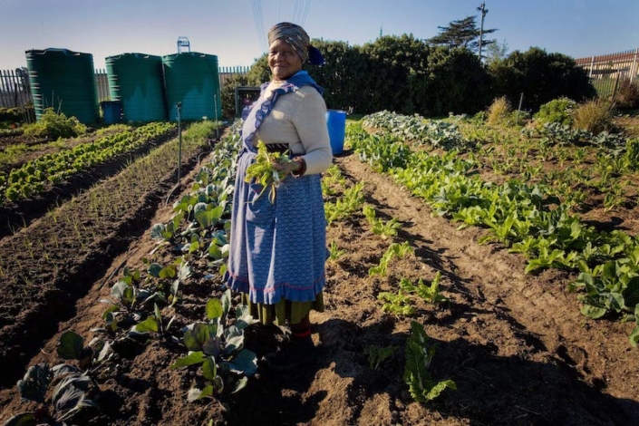 USAID’s Programs to Reduce Poverty and Hunger - The Borgen Project