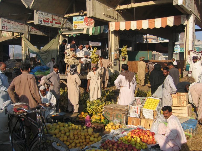 Top 10 Facts about Hunger in Pakistan - The Borgen Project