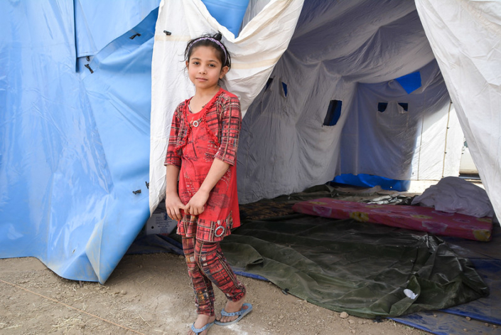 Iraq’s CCHF Outbreak - The Borgen Project