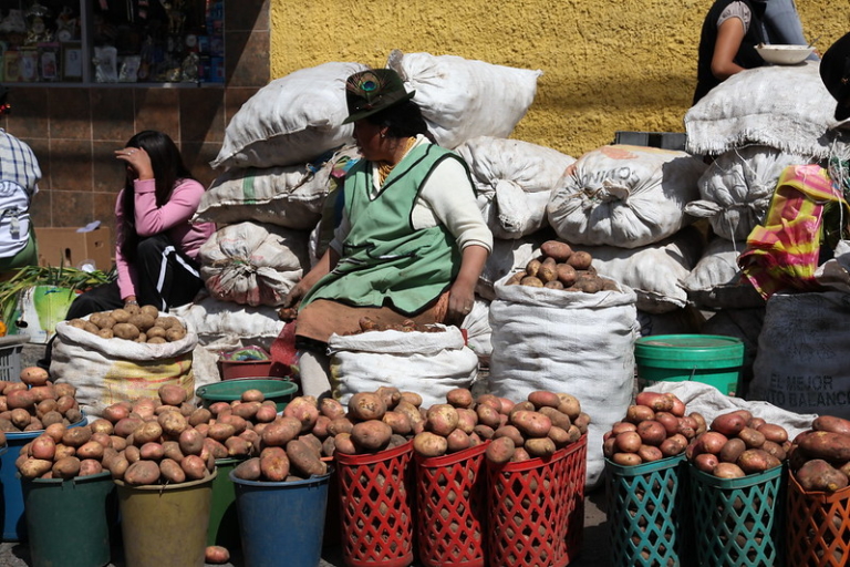 Food Systems in Ecuador - The Borgen Project