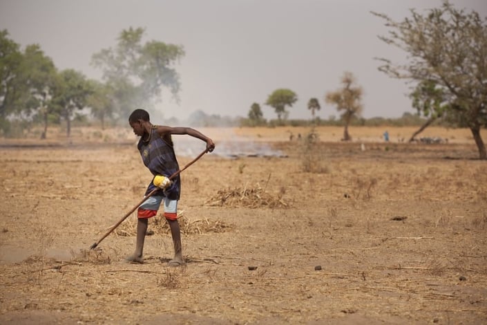 The Effects Of Desertification In Africa The Borgen Project