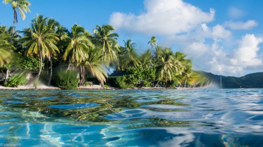 Imported Food Affecting Malnutrition in French Polynesia - The Borgen ...