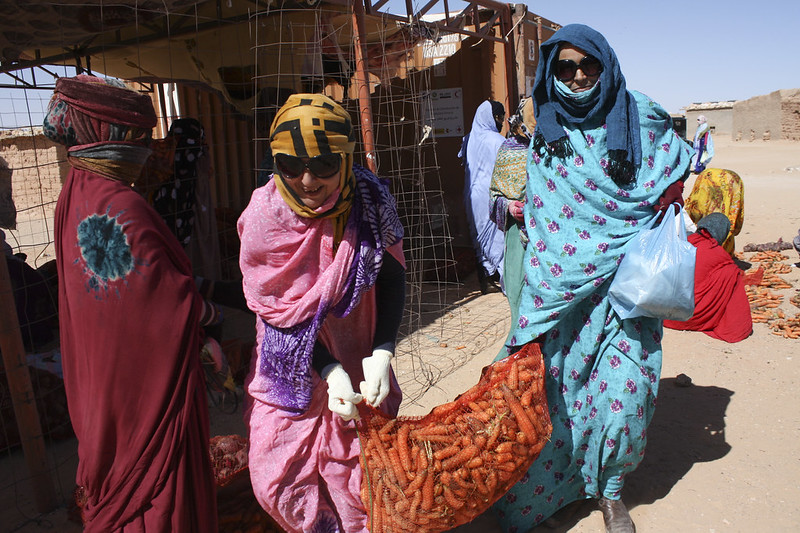 4 Poverty-Fighting Charities in Algeria - The Borgen Project
