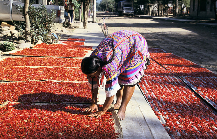 5 USAID-Sponsored Programs in Mexico - The Borgen Project