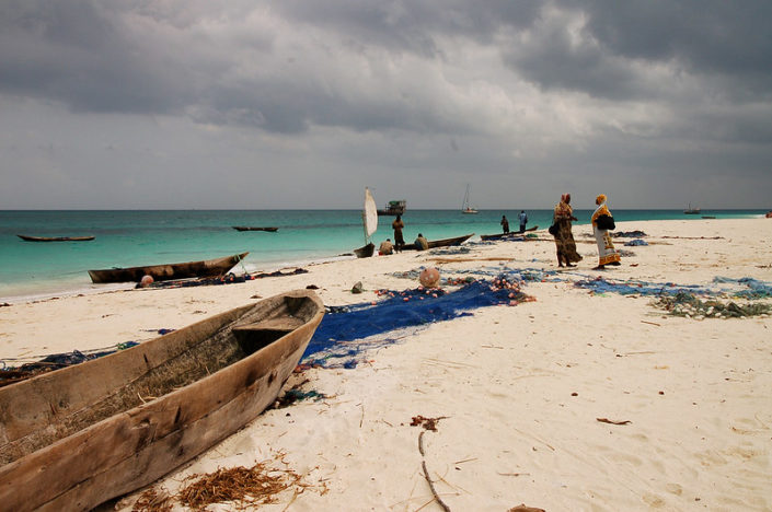 Sea Sponge Farming: A Sustainable Path to Female Emporwement in ...