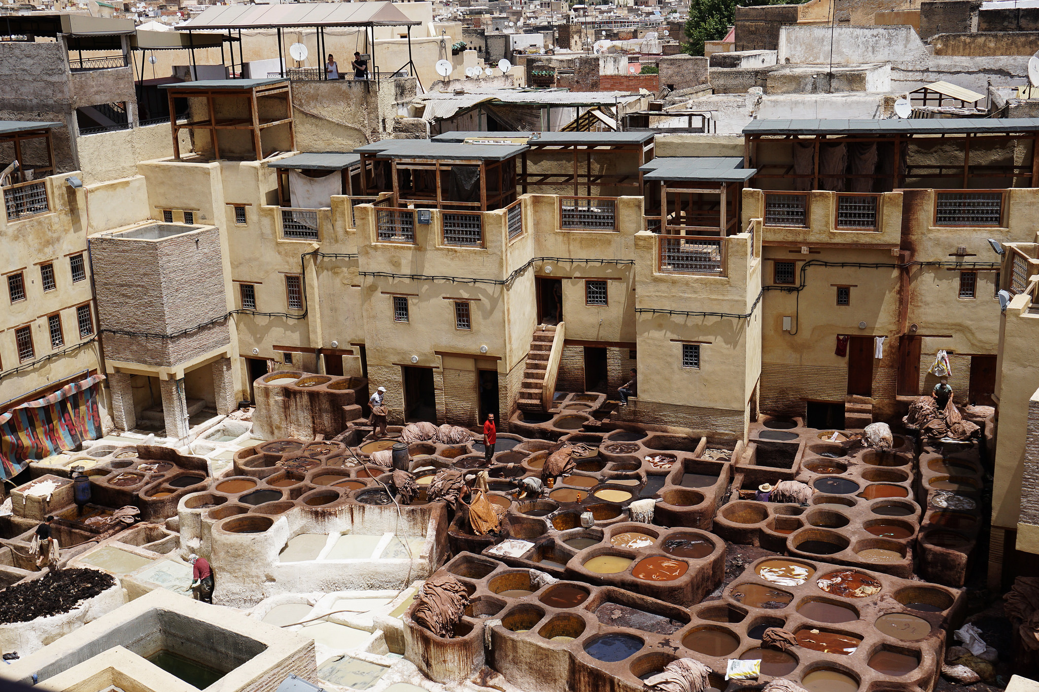 Five Facts About Women's Education in Morocco - The Borgen Project