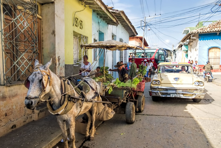 Expanding US Agricultural Exports to Cuba - The Borgen Project