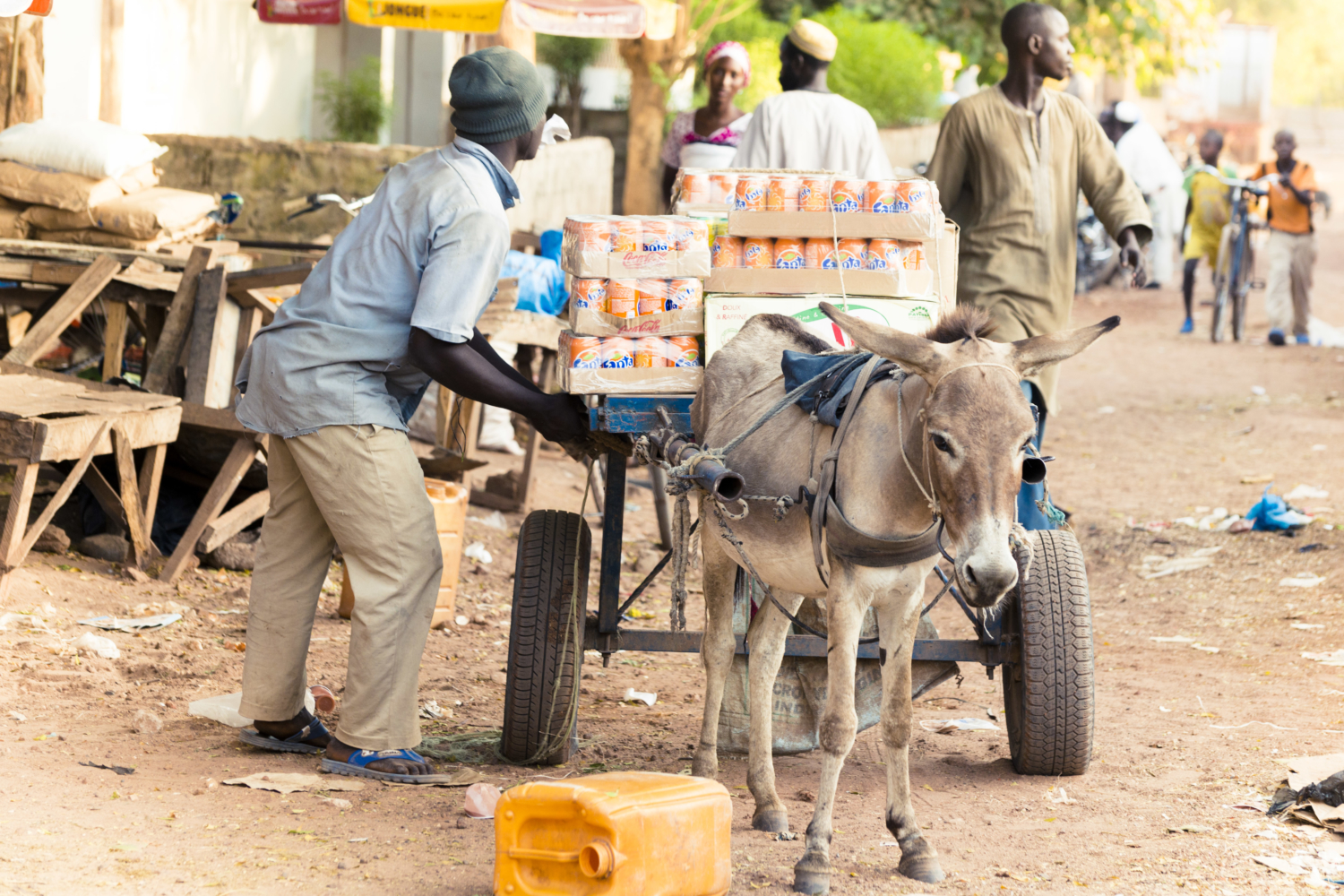 Strawberries Support Poverty Eradication in Senegal - The Borgen Project