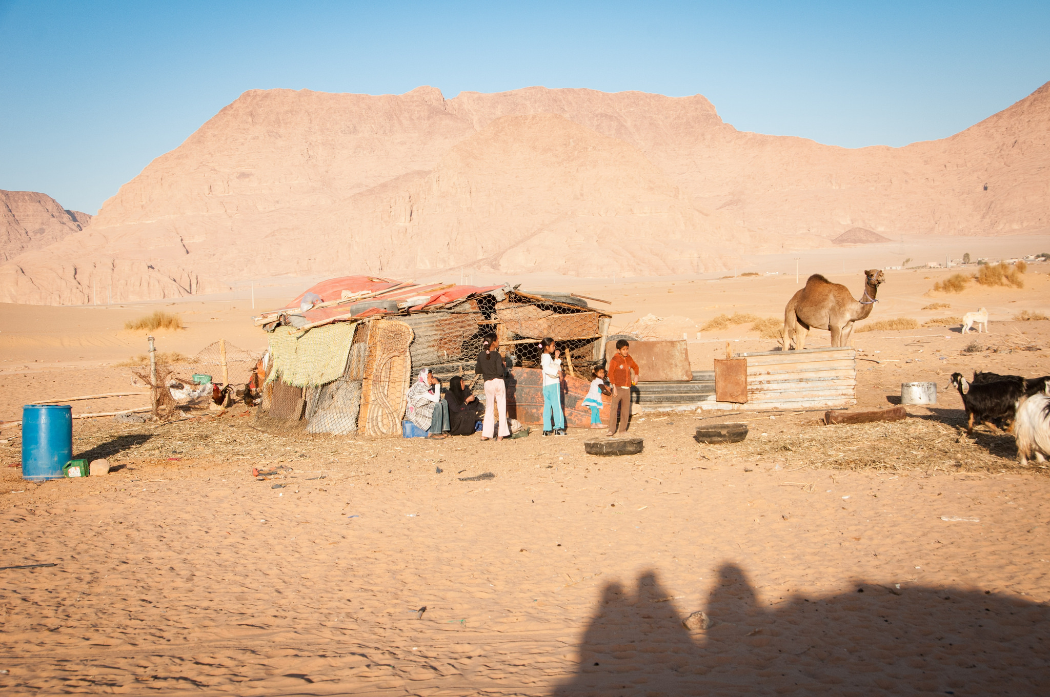 Immigrants From Jordan