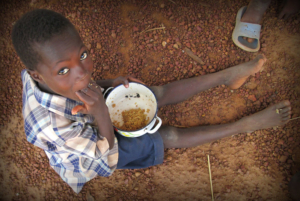 3 Organizations Fighting World Hunger - The Borgen Project