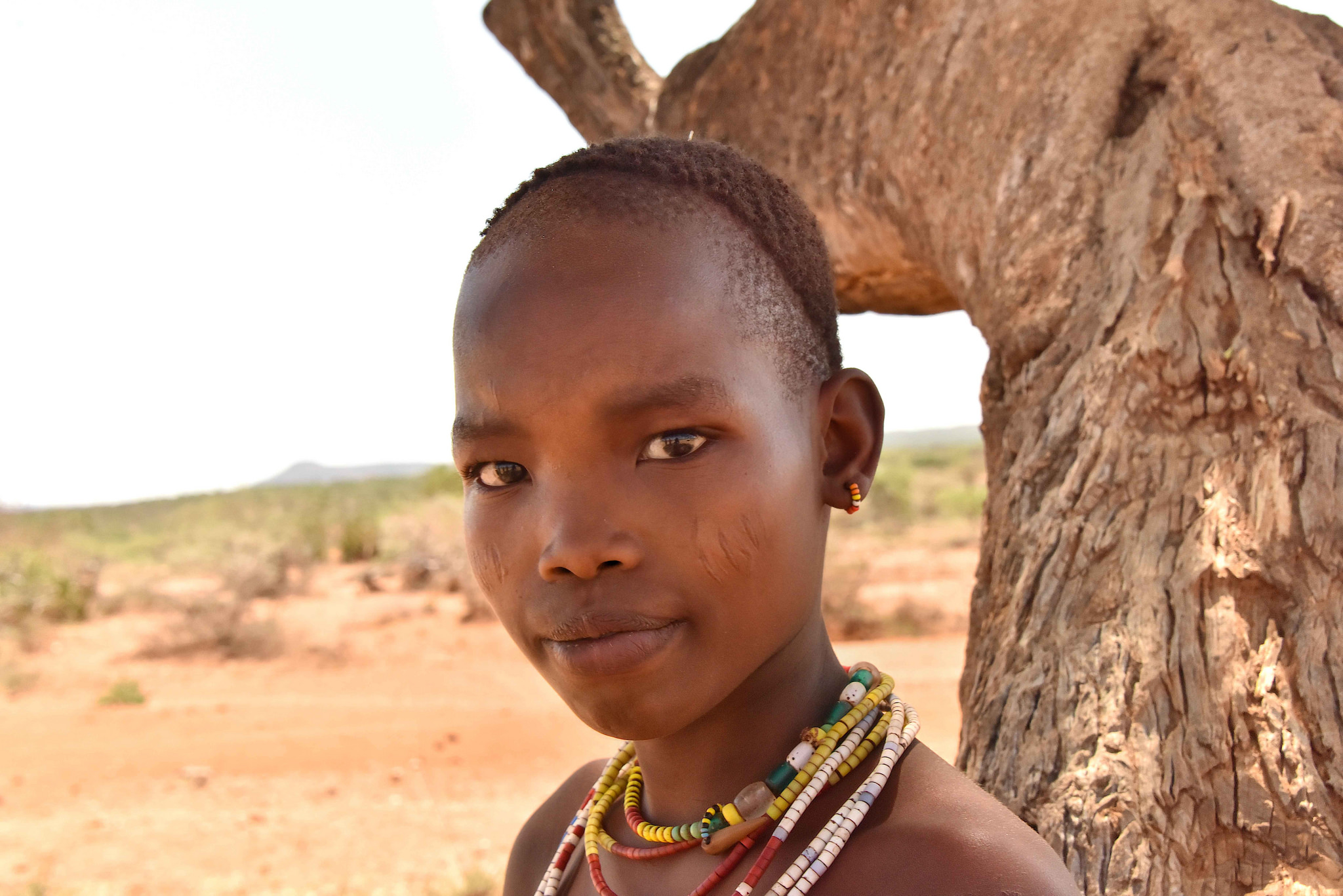 Answering the Question: How Foreign Aid Works Nowadays?