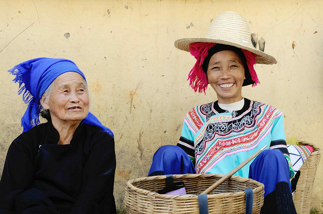 The Rise of the Middle Class in the Developing World