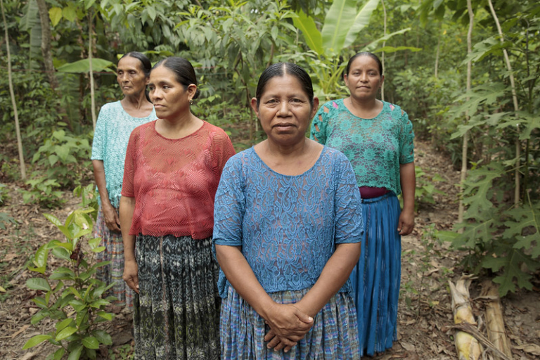 Maya Pedal: Bikes Transforming Lives in Guatemala - The Borgen Project