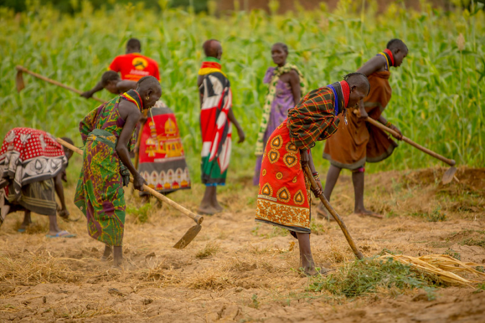 Bringing IoT into Agriculture in Developing Countries - The Borgen Project