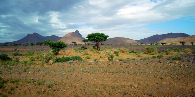 Improved Food Security in the Sahel - The Borgen Project