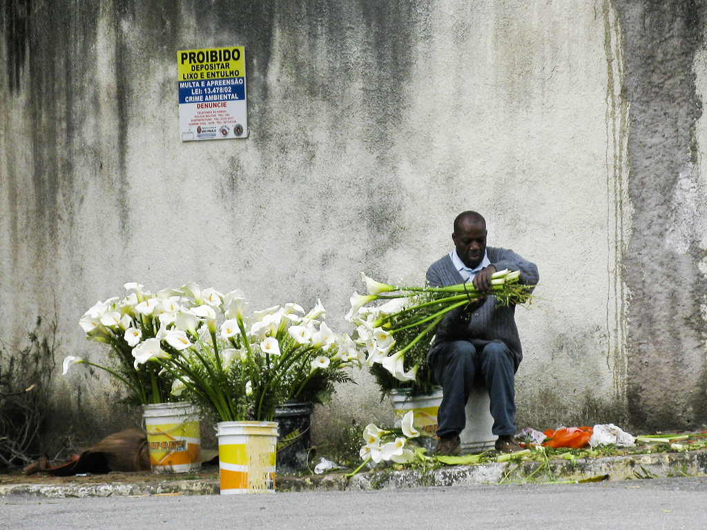 Ten Important Facts to Know About Brazil Refugees