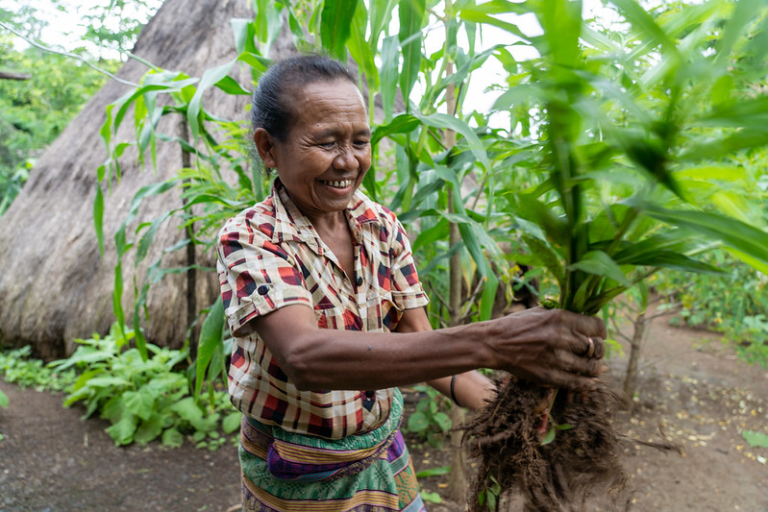 5 Facts About Poverty in Timor-Leste - The Borgen Project
