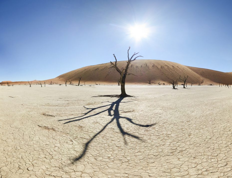 Five Ways to Help Stop Desertification of the World - BORGEN