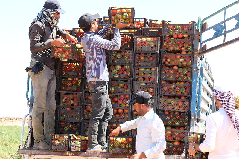 Young Jordanians Who Confront Food Insecurity via Innovation - The ...