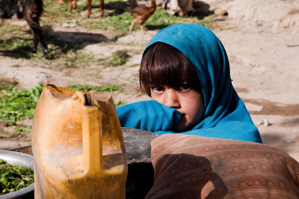 Afghan Women: The Legitimate and True Queen Bees