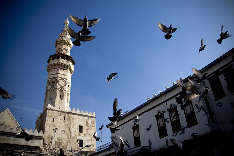 New Arrival of Vaccines in Syria - The Borgen Project