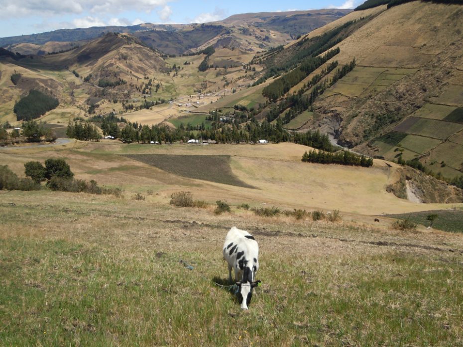 A Nation on the Rise: Sustainable Agriculture in Ecuador