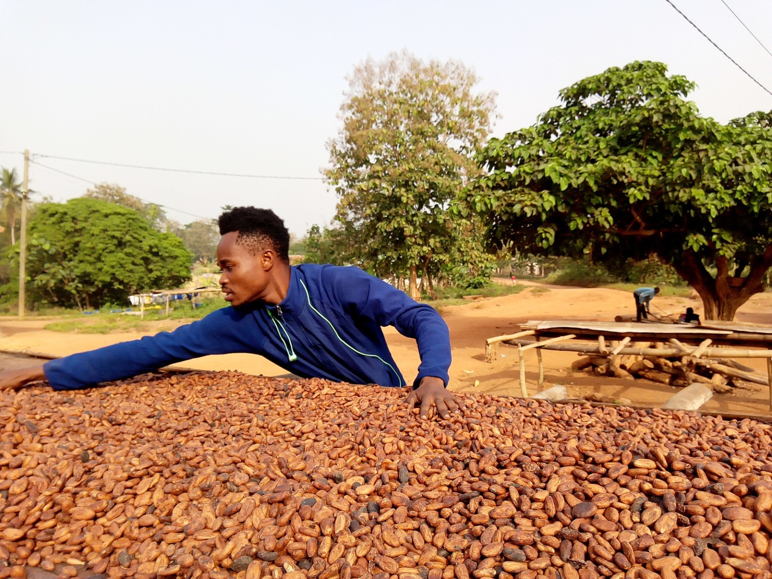 Food Systems in Ghana - The Borgen Project