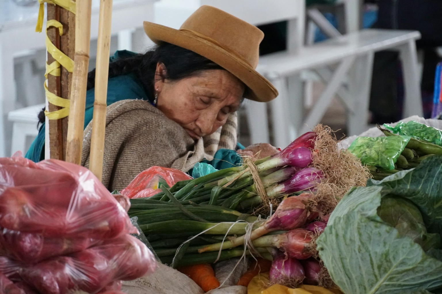 Addressing Food Insecurity in Honduras: The CELAC 2030 Plan - The ...