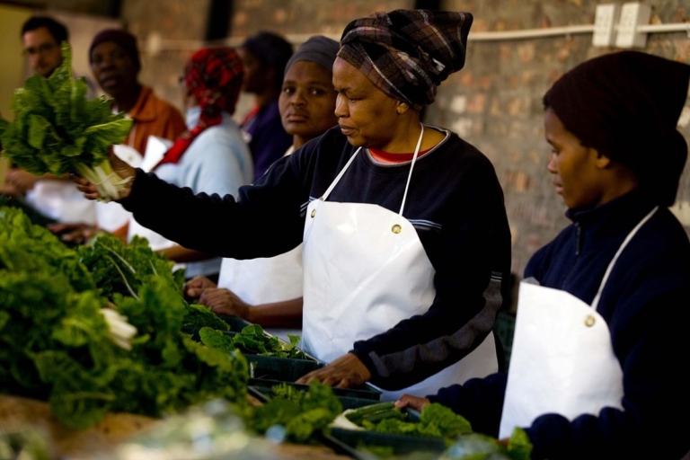 5 Things to Know About Food Banks in Africa - The Borgen Project