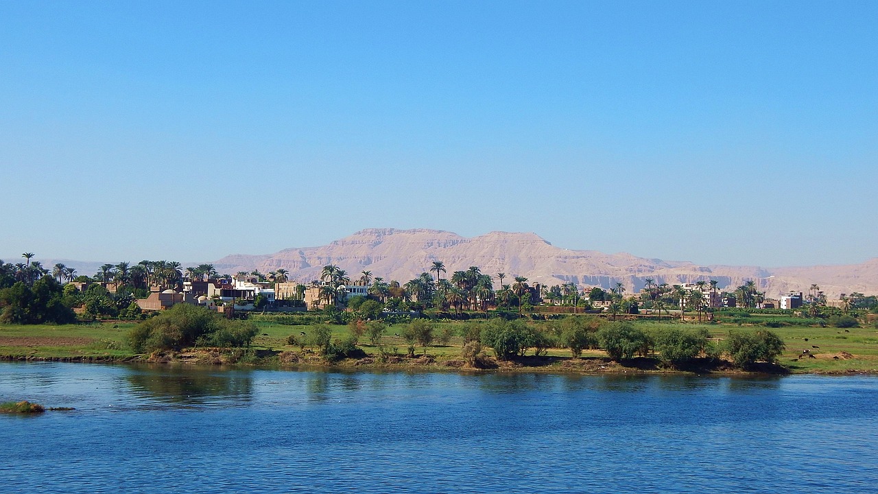 Agricultural Exports in Egypt Reaches Highest Level in Years - The ...