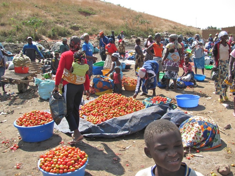 A Bright Future for Agriculture in Angola - The Borgen Project