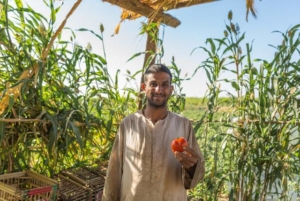 Technological Advances in Agriculture in Egypt - The Borgen Project
