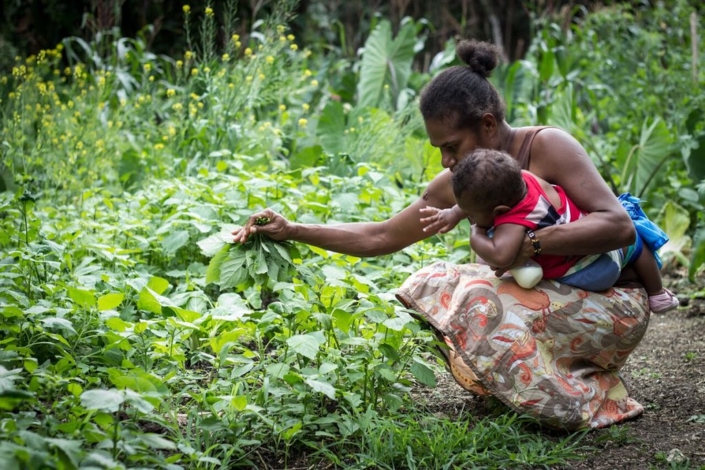 How Farming Innovations Aid Agriculture in Vanuatu - The Borgen Project