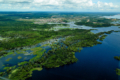 Amazon Rainforest Reforestation - The Borgen Project