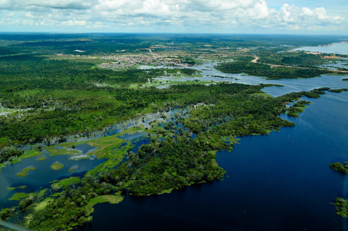 Amazon Rainforest Reforestation - The Borgen Project