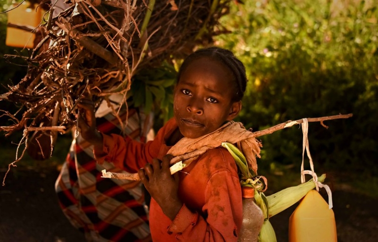 Phone Apps Fighting World Hunger - The Borgen Project