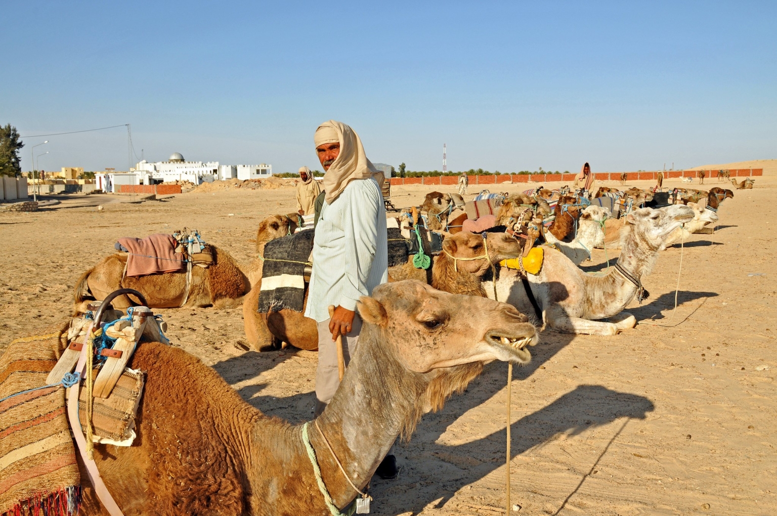 Arab Spring: The State of Poverty a Decade Later - The Borgen Project