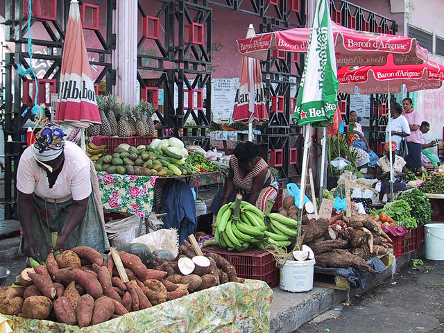 Addressing Three Main Causes of Poverty in Guadeloupe