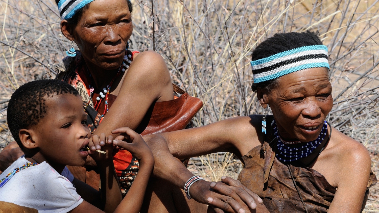 5 Charities Operating in Botswana - The Borgen Project