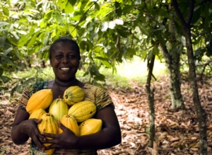 5 Chocolate Companies Fighting Child Labor in the Cocoa Industry - The ...