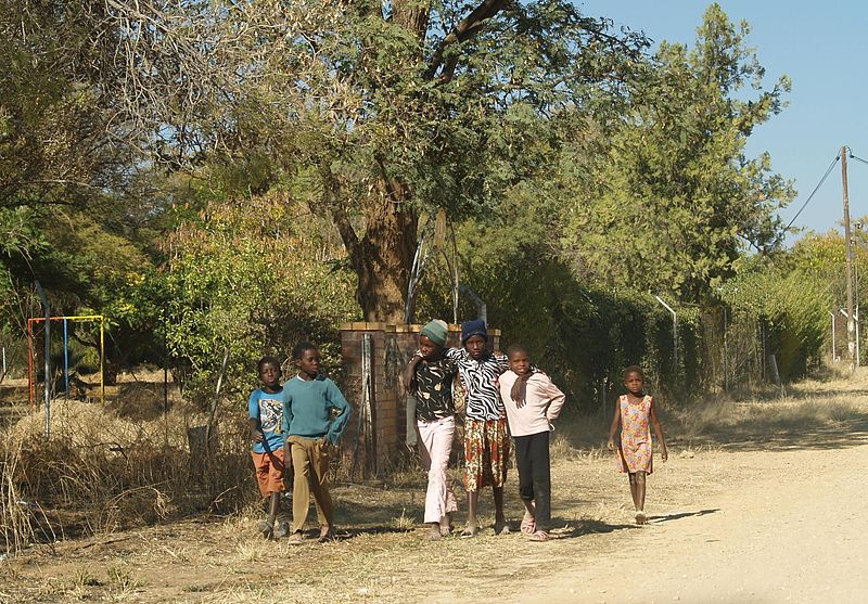 The Borgen Project Blog - Top Global Issues News Source