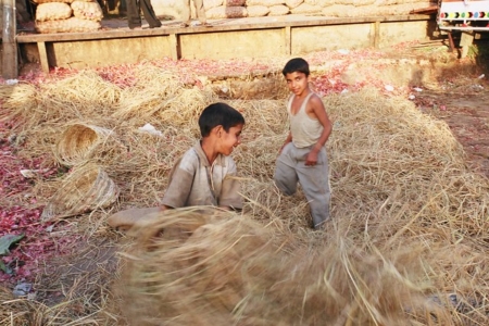 10 Important Facts on Child Labor - The Borgen Project