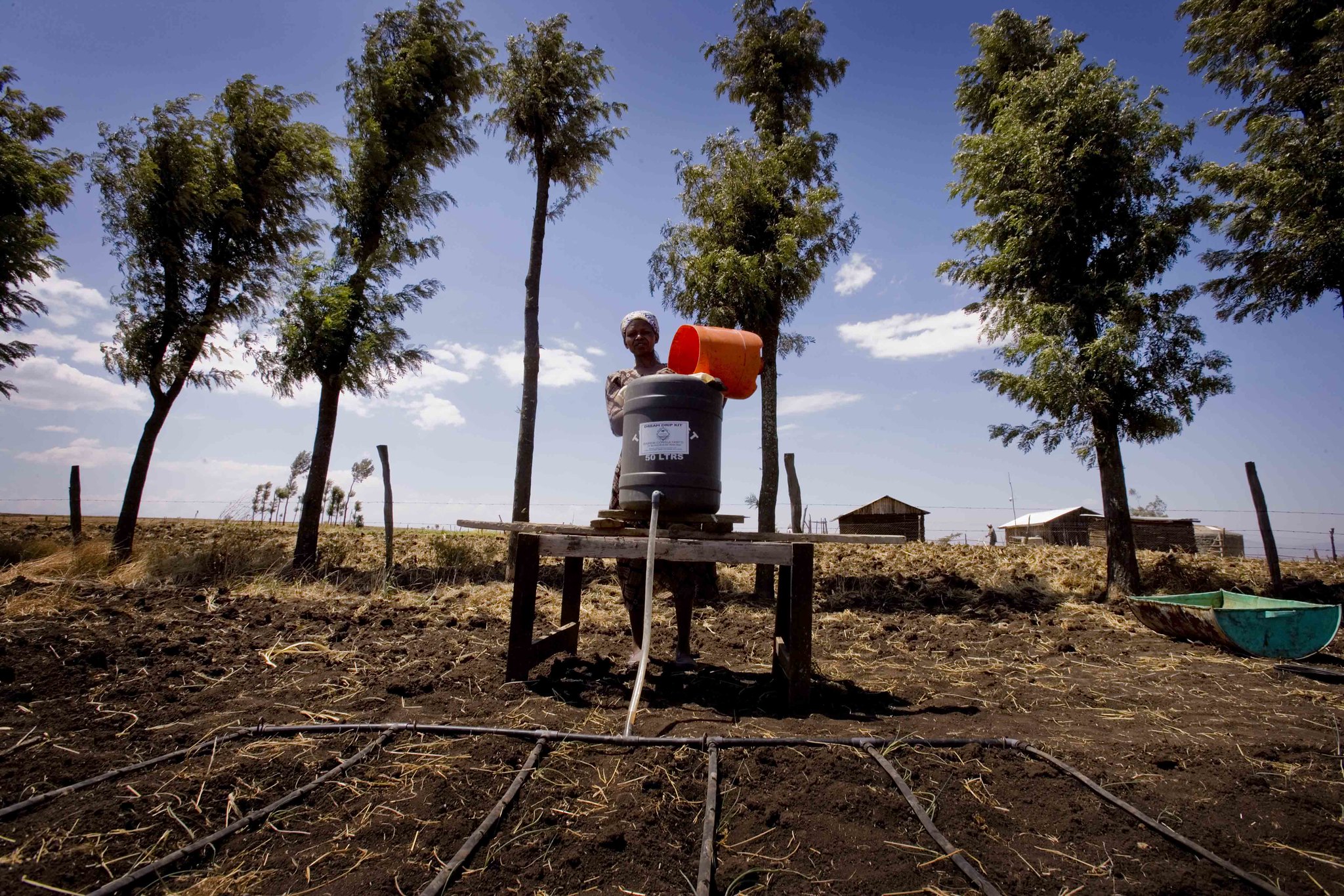 Climate-Smart Agriculture in Kenya Reduces Poverty - The Borgen Project