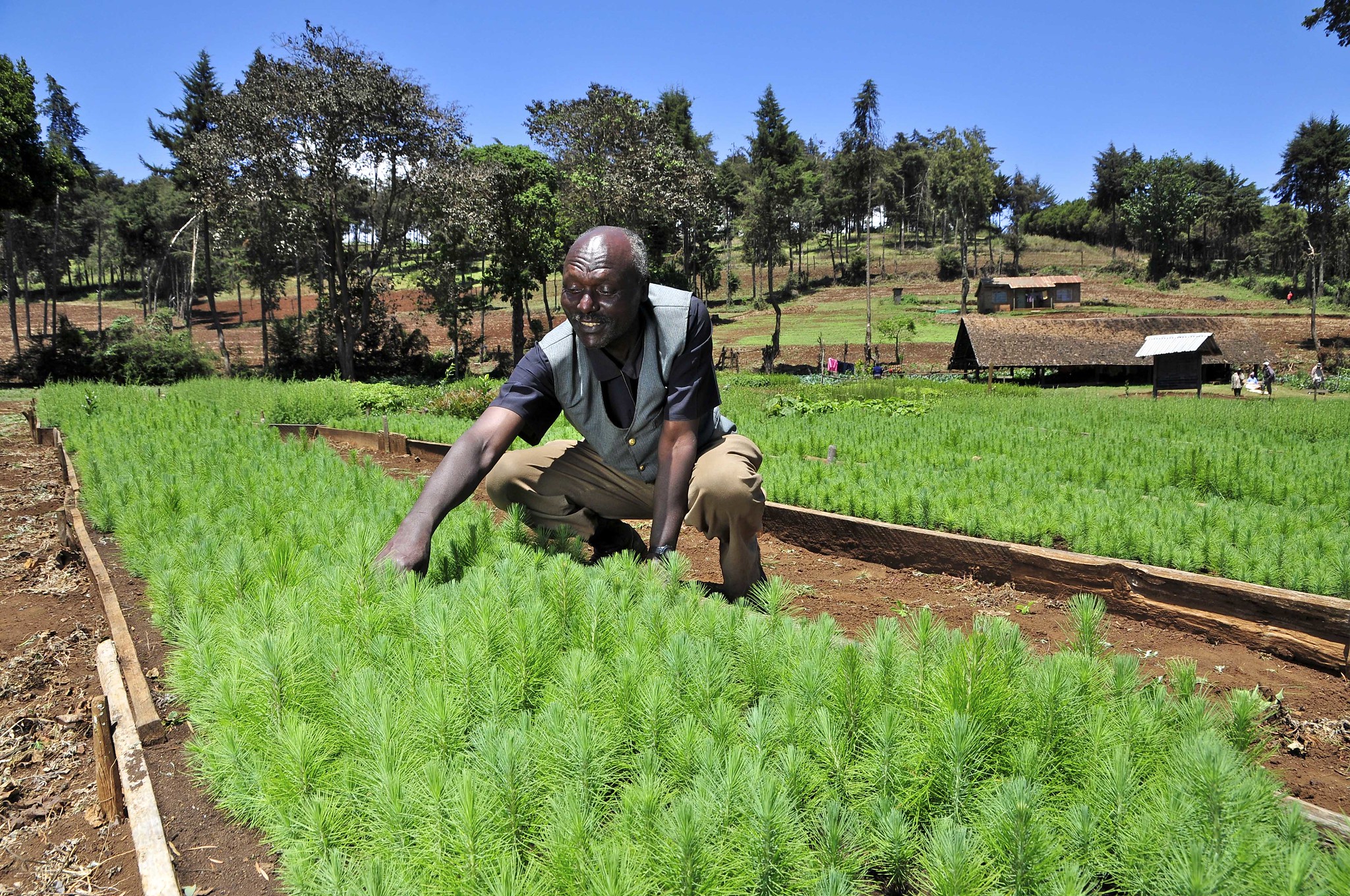 How The Eu S Common Agricultural Policy Is Helping Developing Nations