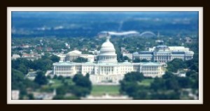 Learn How to Call Congress - The Borgen Project