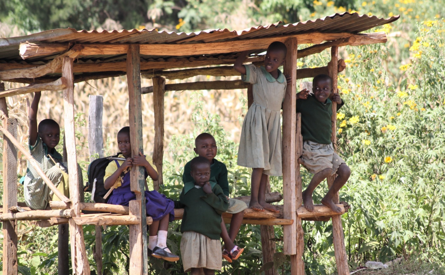 Examining Countries with Child Labor - The Borgen Project