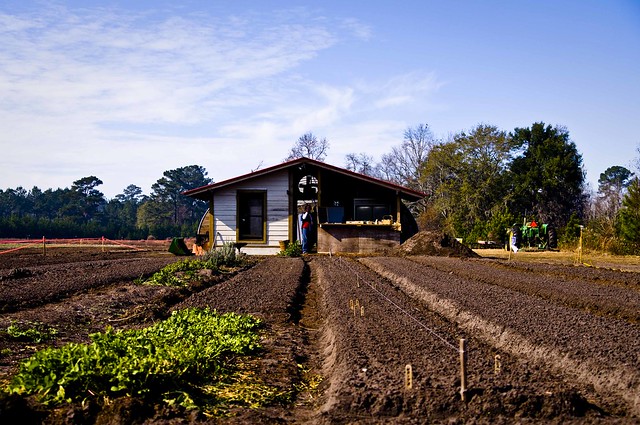7 Pillars: The Decade of Family Farming - The Borgen Project
