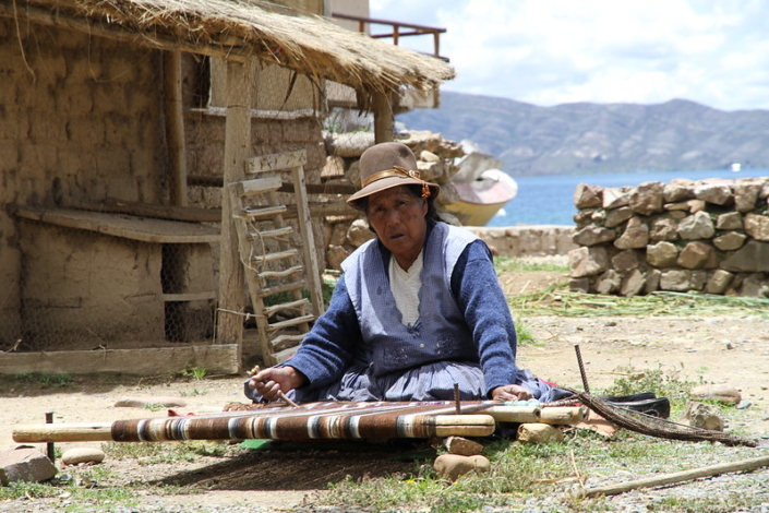 Deforestation in Bolivia: How is it affecting the people? - The Borgen ...