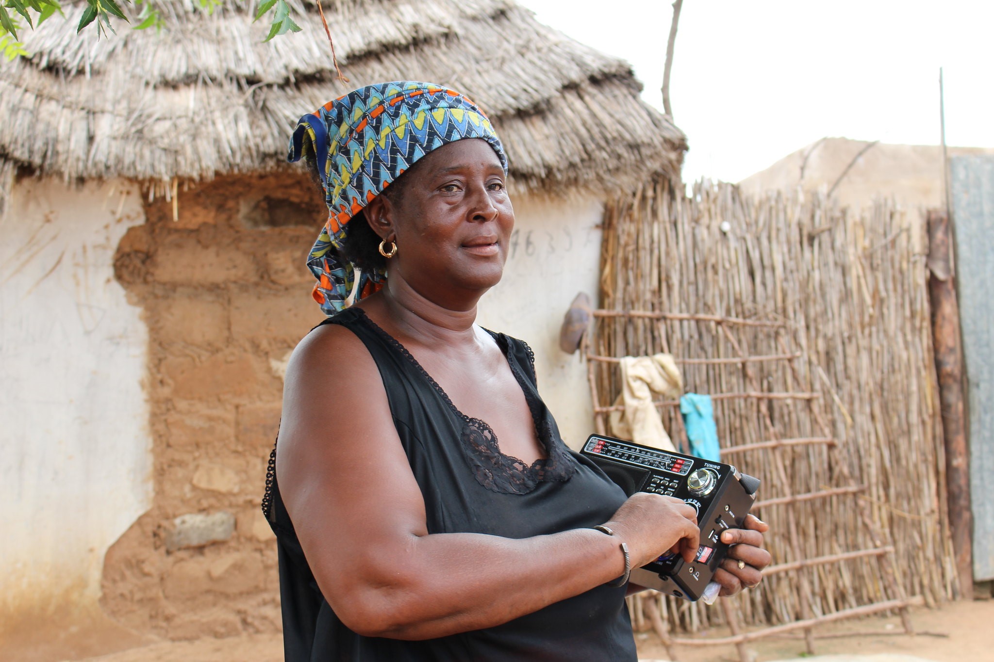 Deforestation in Senegal and the Women of Kaffrine - The Borgen Project