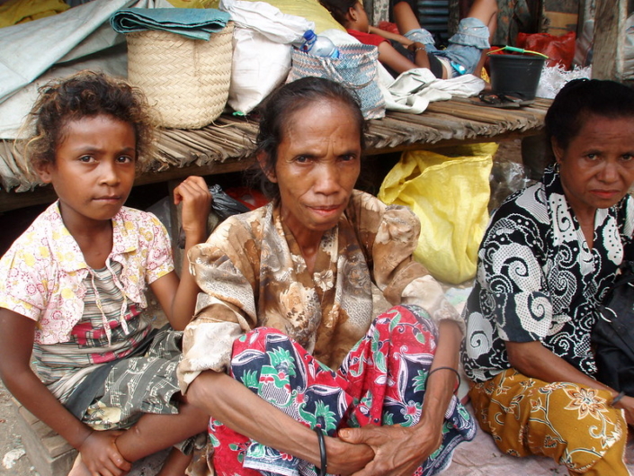 Poverty and Dengue Outbreaks in Timor-Leste - The Borgen Project